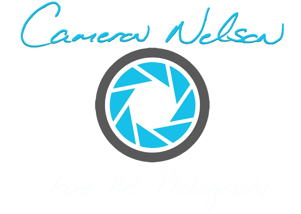 Home - Cameron Nelson Gallery
